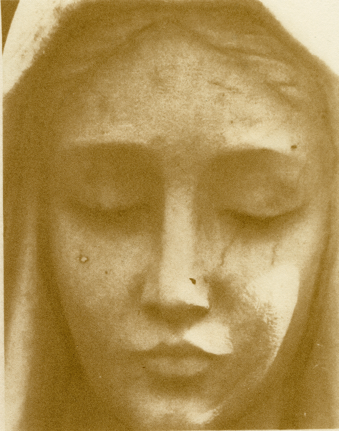Gum Bichromate Prints – Cameron Young