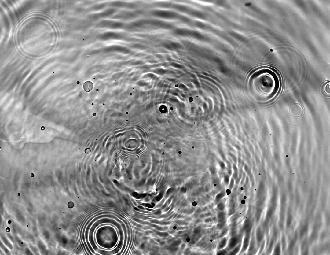 Watergrams – Cameron Young