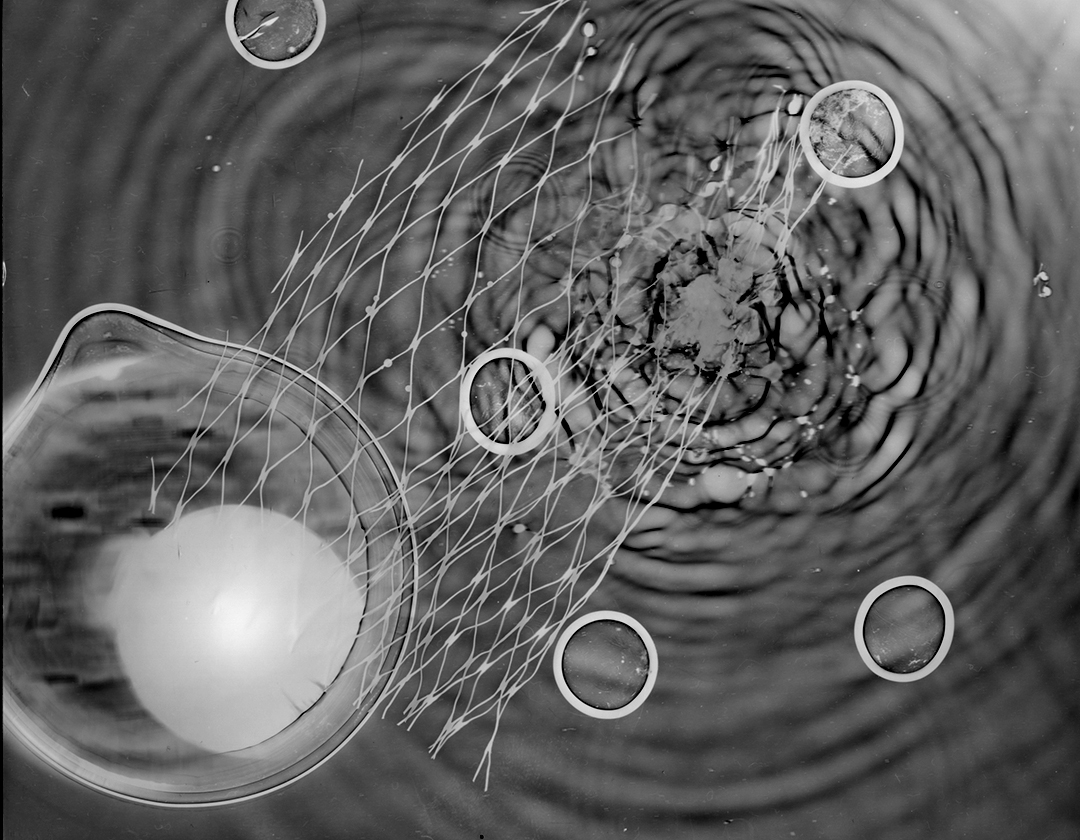 Watergrams – Cameron Young