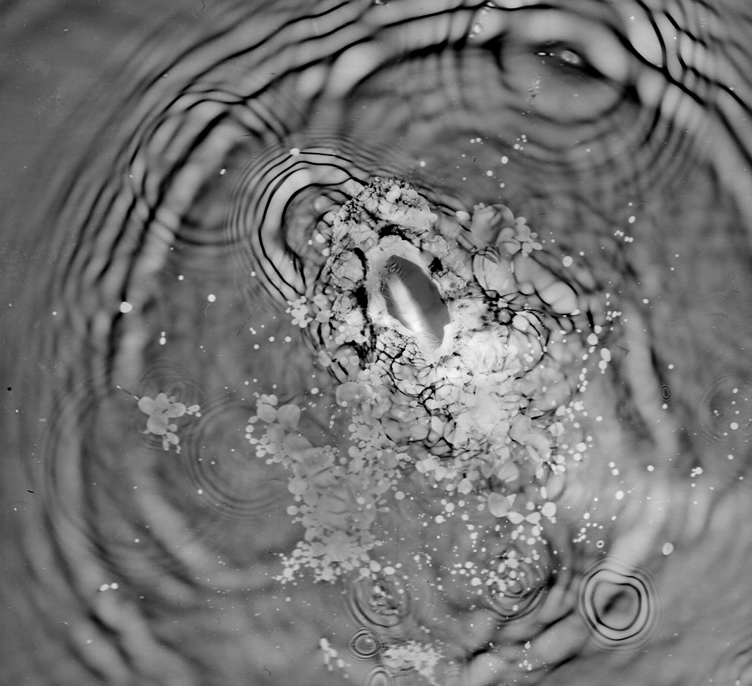 Watergrams – Cameron Young