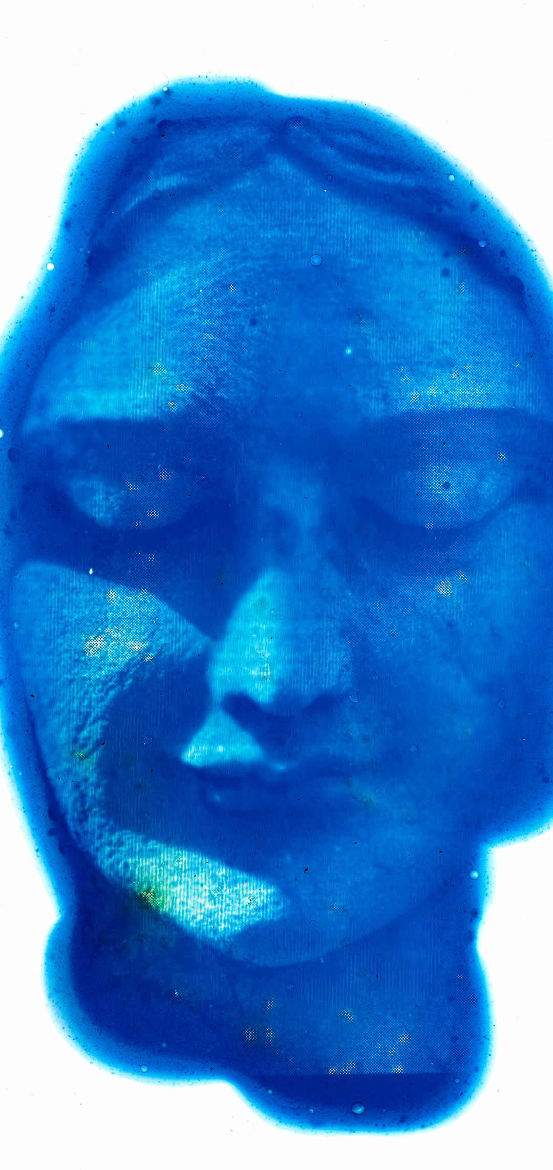 Cyanotype on Bioplastic – Cameron Young